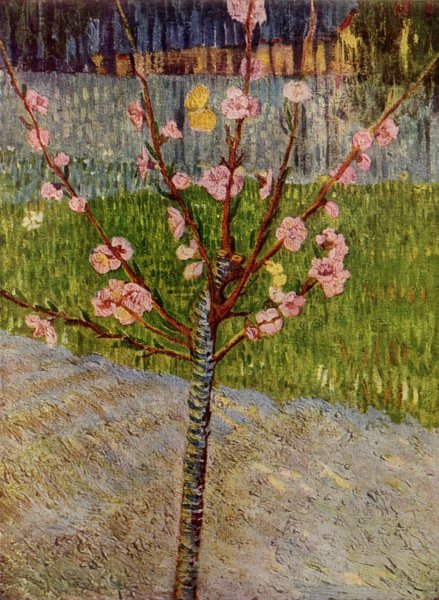 Vincent Van Gogh
